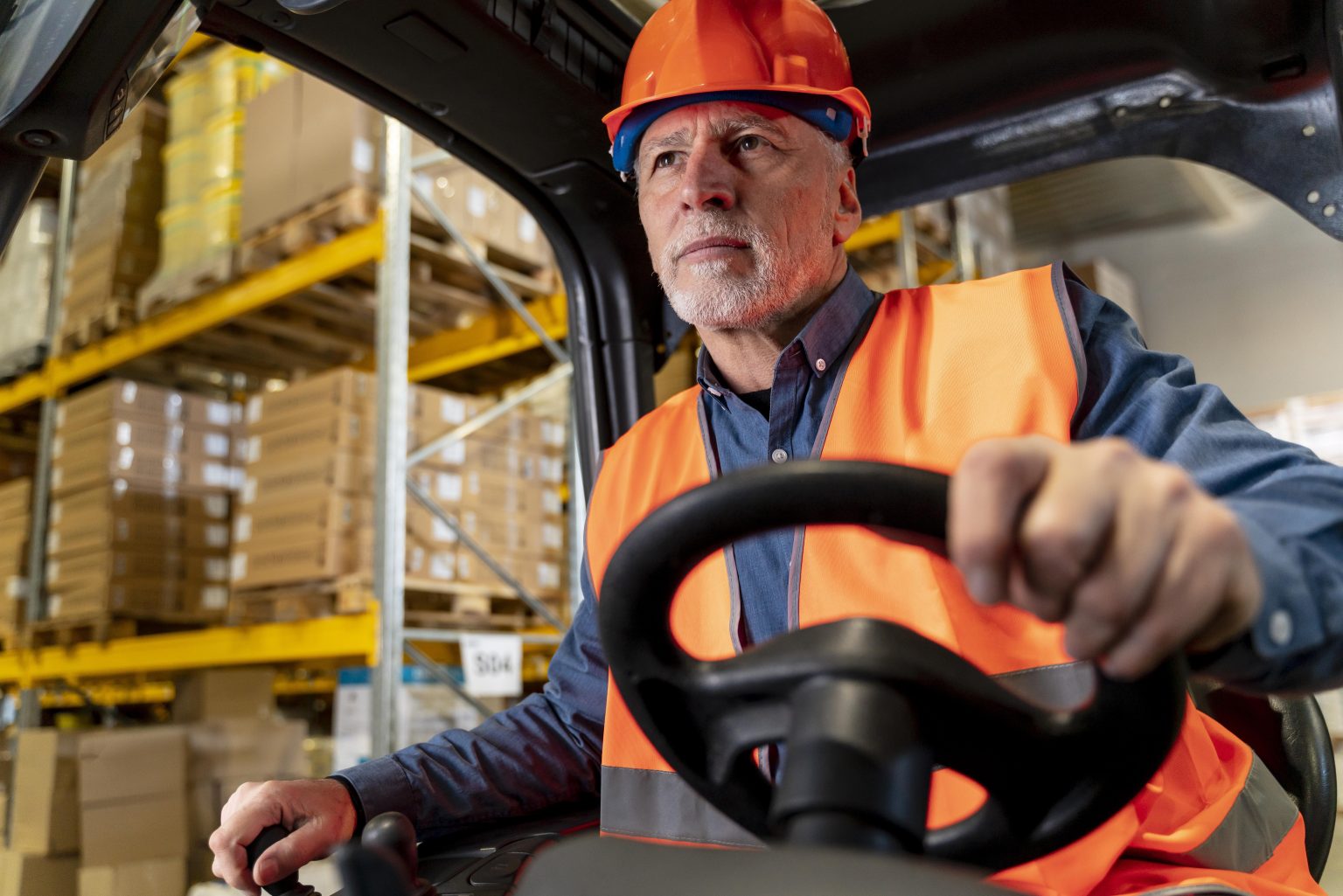 ¿Sabes cuáles son las oportunidades profesionales que puedes encontrar ...